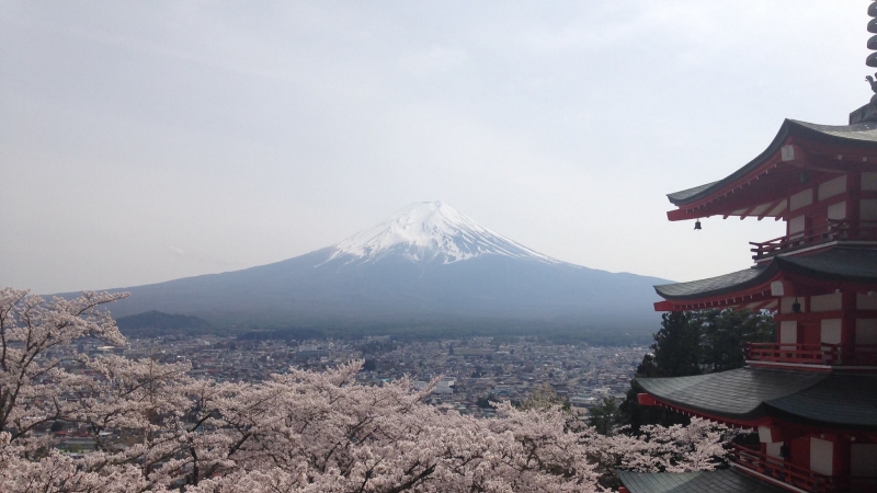 Japanese Square Dancers are Visiting Times Squares! | Times Squares